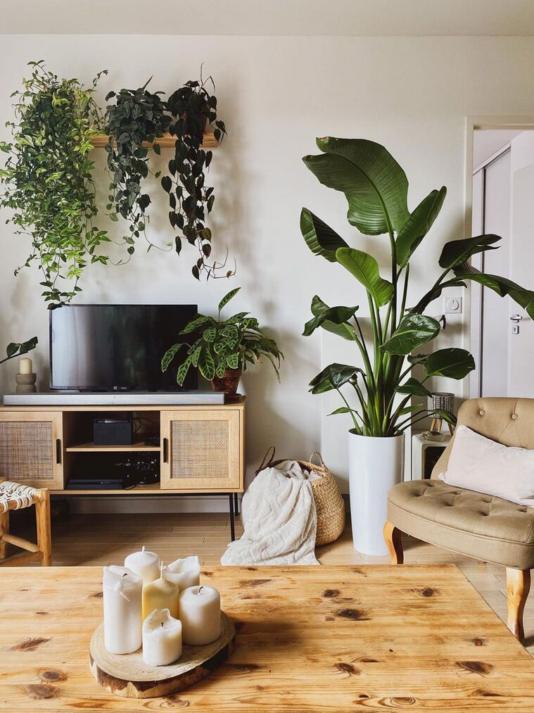 Boho Chic TV Stand: Natural Rattan Cabinet with Black Metal Legs" | revvvd